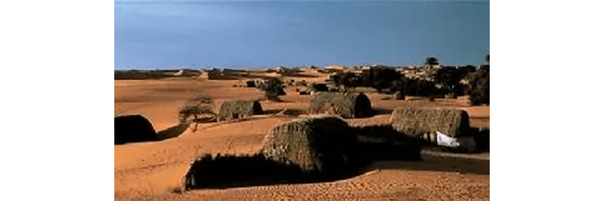 Western Sahara - Shipping Destinations - Ship For Me - Yoybuy